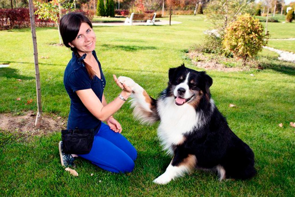 AEBA - AEBA - Asociación Ecuatoriana de Bienestar Animal