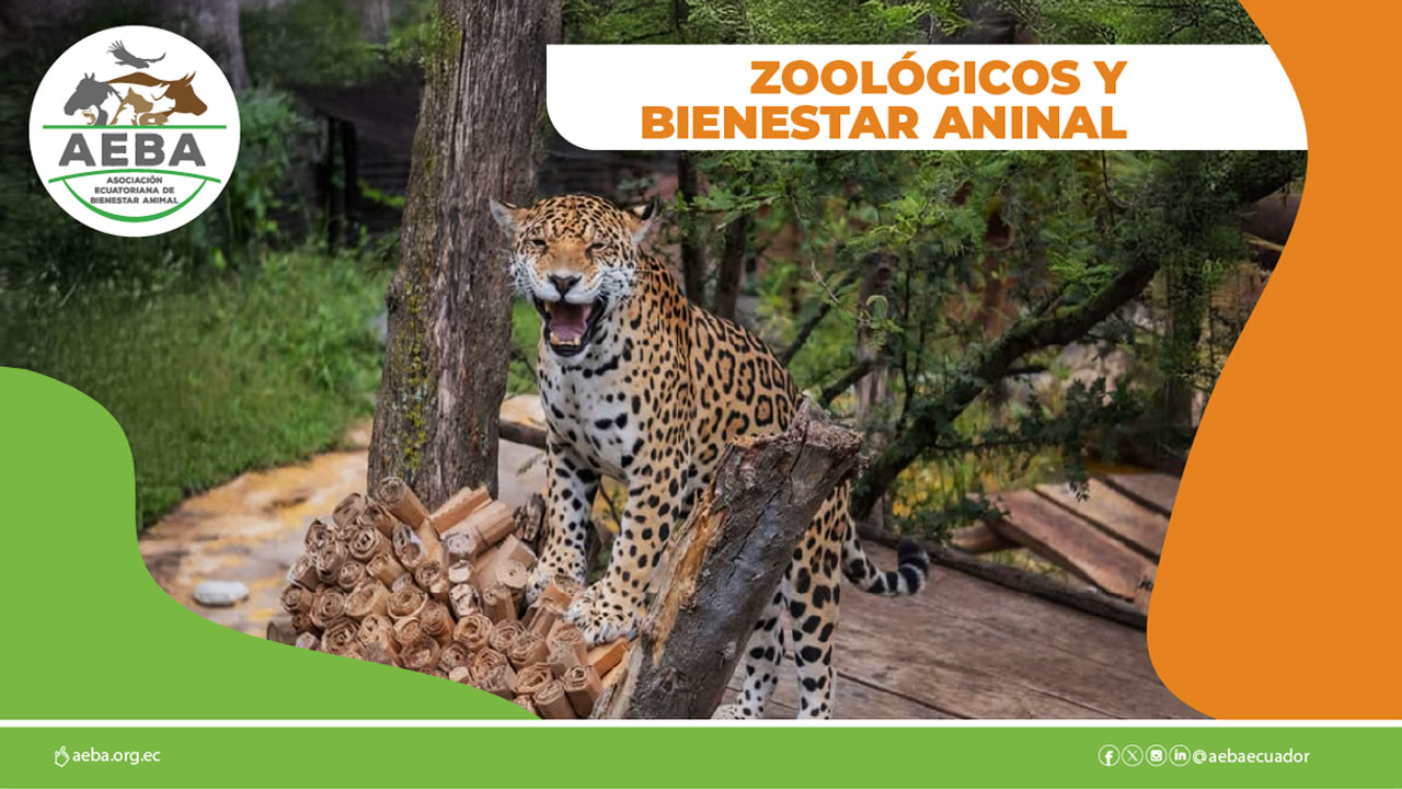 Zoológicos y bienestar animal - AEBA - Asociación Ecuatoriana de ...